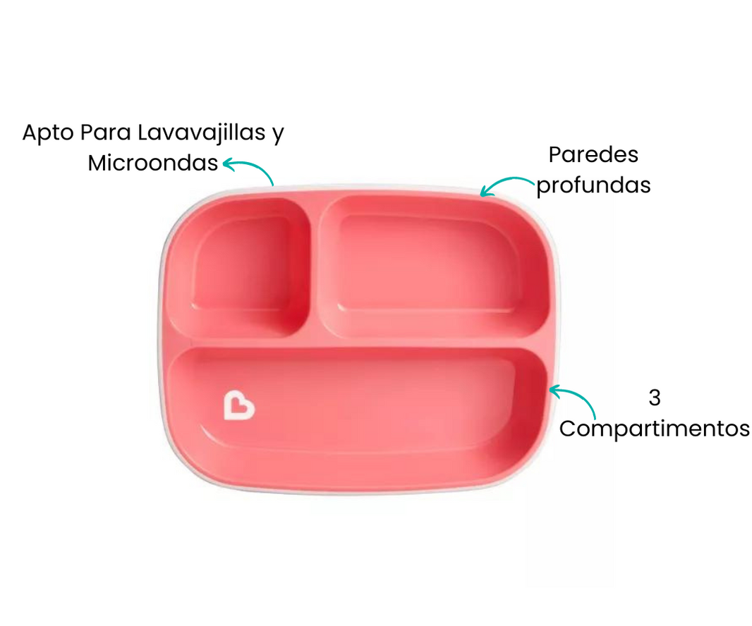 Plato Con Divisiones Rectangulares Splash Munchkin